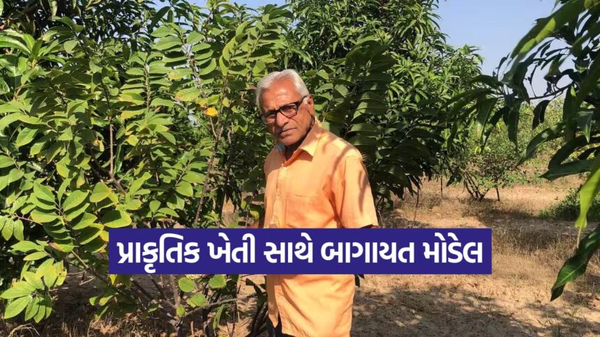 બાબુભાઈ પટેલ: Organic Horticulture Farming દ્વારા પ્રાકૃતિક સફળતા ...
